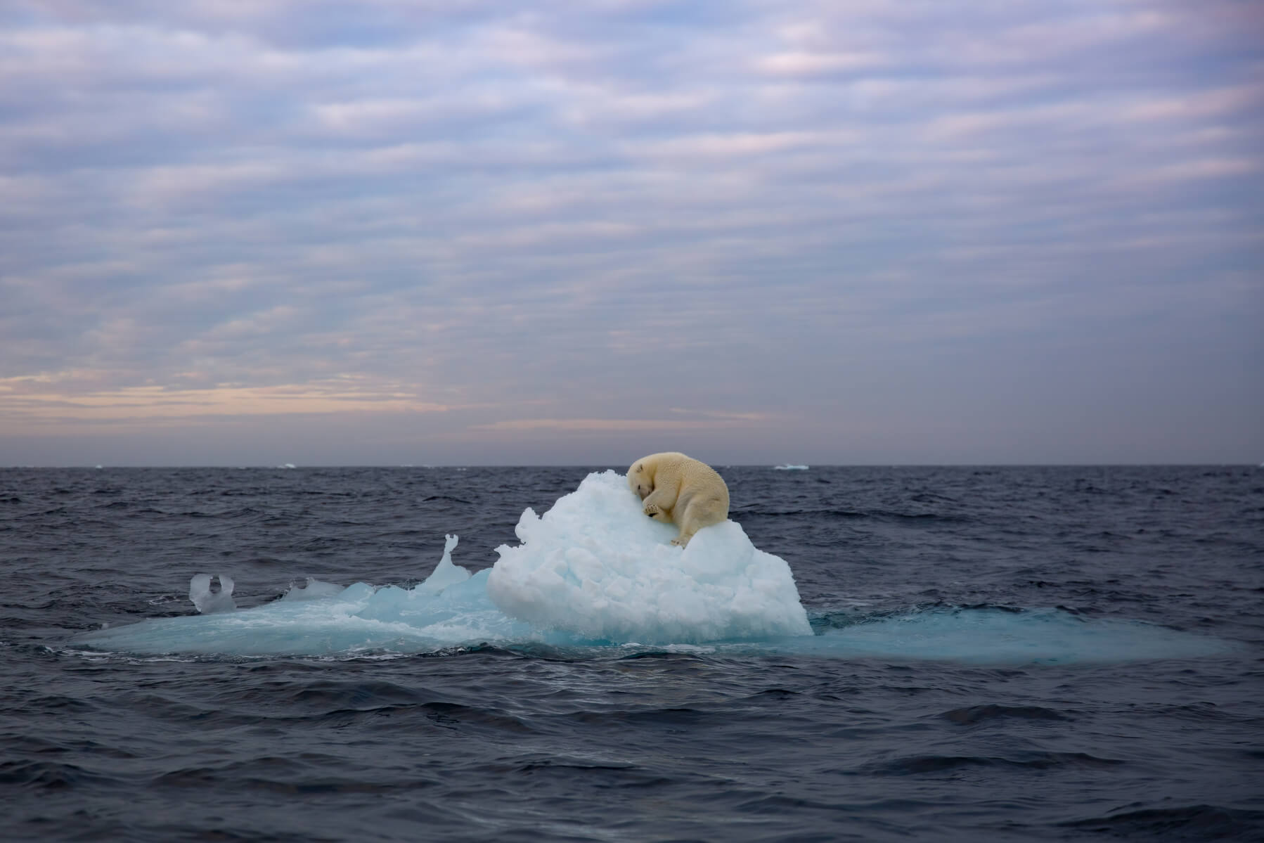 Cambio climático y aumento del nivel del mar | FisiQuímicamente Cambio climático y aumento del nivel del mar | FisiQuímicamente